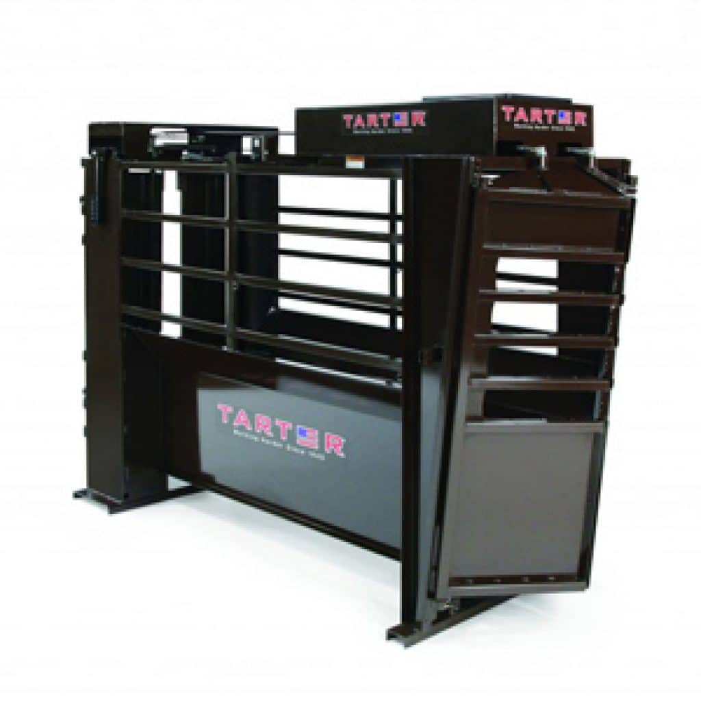 Tarter Electric Roping chute with remote headgate - High Plains Cattle ...