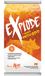 Sunglo-Explode-Paylean - High Plains Cattle Supply