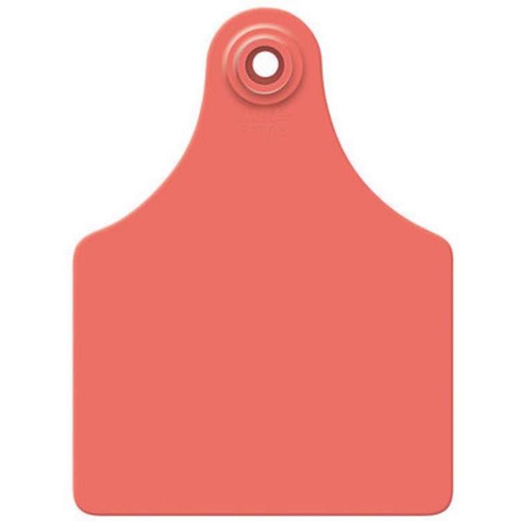 Allflex Global Maxi Blank Tags with Buttons (25/bag) - High Plains ...