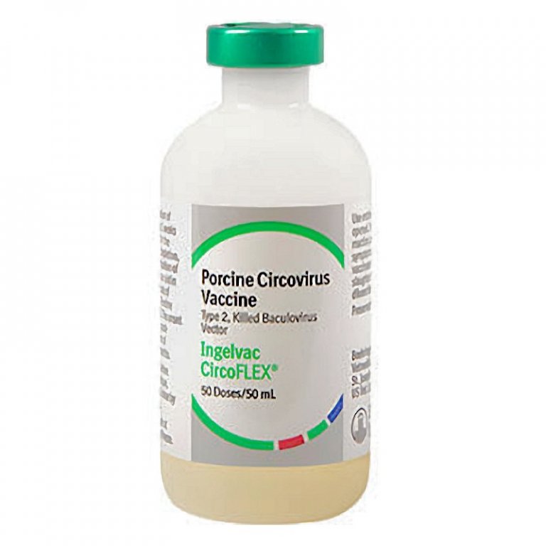 Boehringer Ingelheim Ingelvac Circoflex Vaccine (50 dose) - High Plains ...