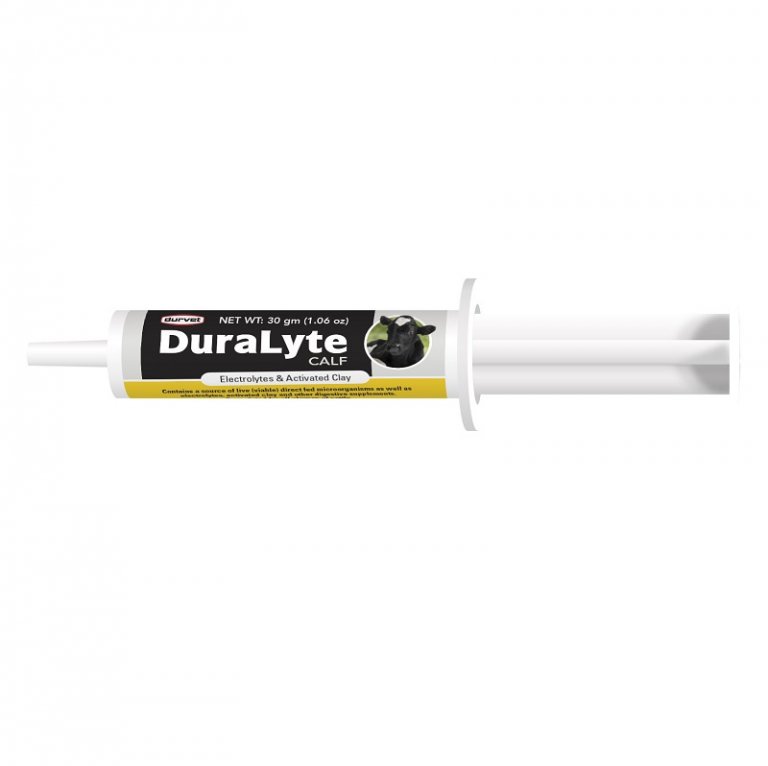 Durvet DuraLyte Calf Paste | Animal Health | Supplements