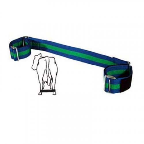 Munk's Cow Hobble | Animal Health | Veterinary Tools