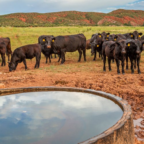 livestock-water-tanks-systems - High Plains Cattle Supply