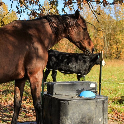 livestock-automatic-waterers - High Plains Cattle Supply