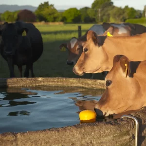 water-tank-floats-valves-livestock - High Plains Cattle Supply